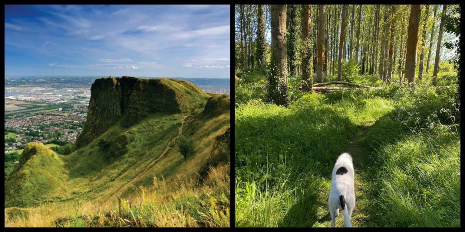 The ultimate 10 BEST WALKS in and around Belfast