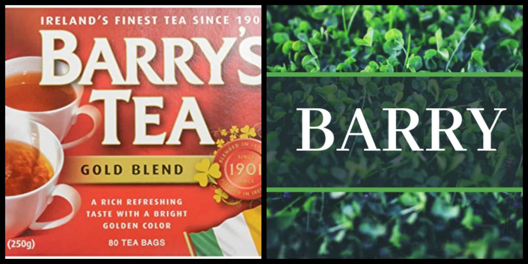 BARRY: name meaning, origin, and popularity, EXPLAINED