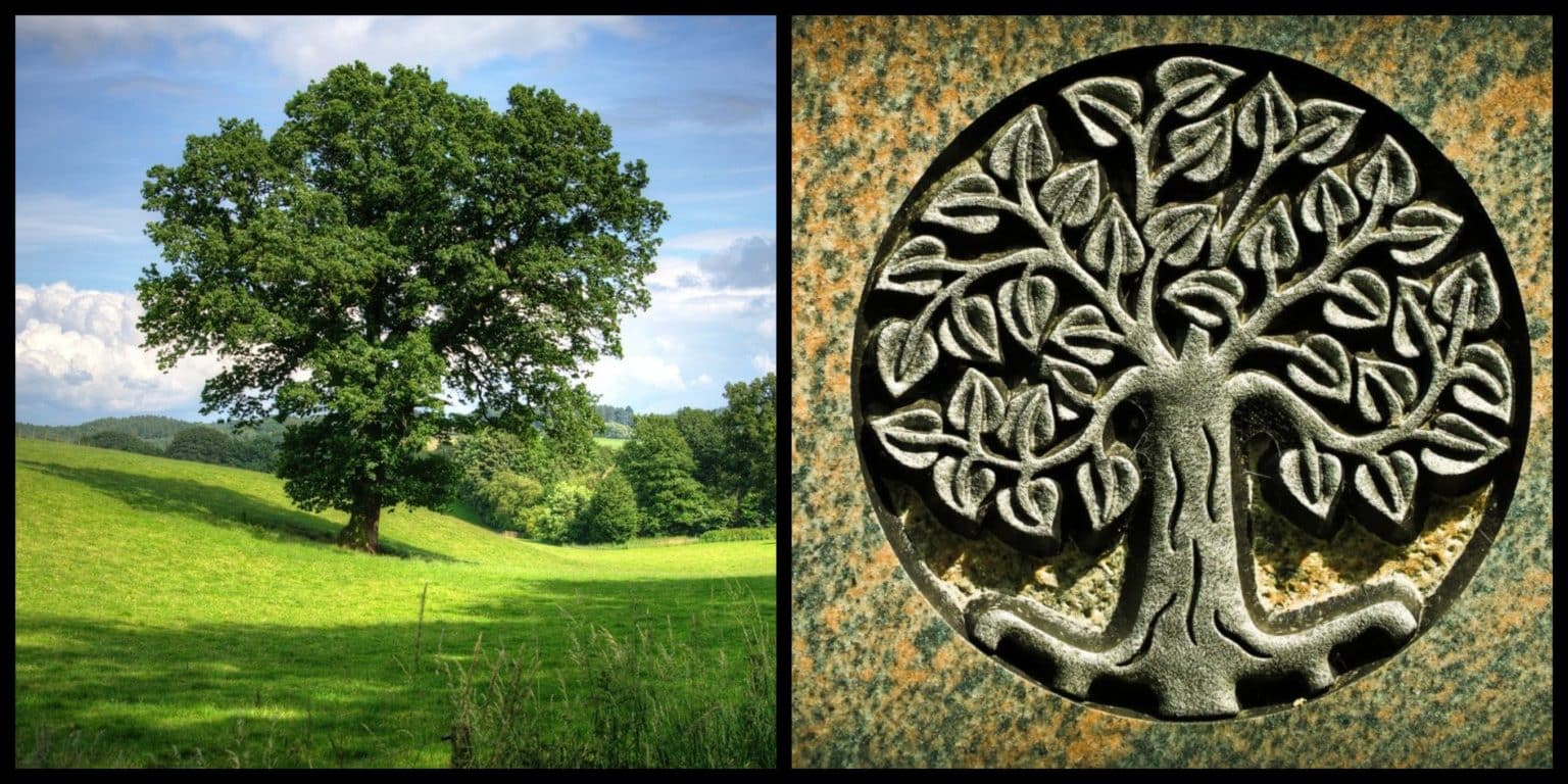 The Celtic symbol for STRENGTH: Everything you NEED to KNOW