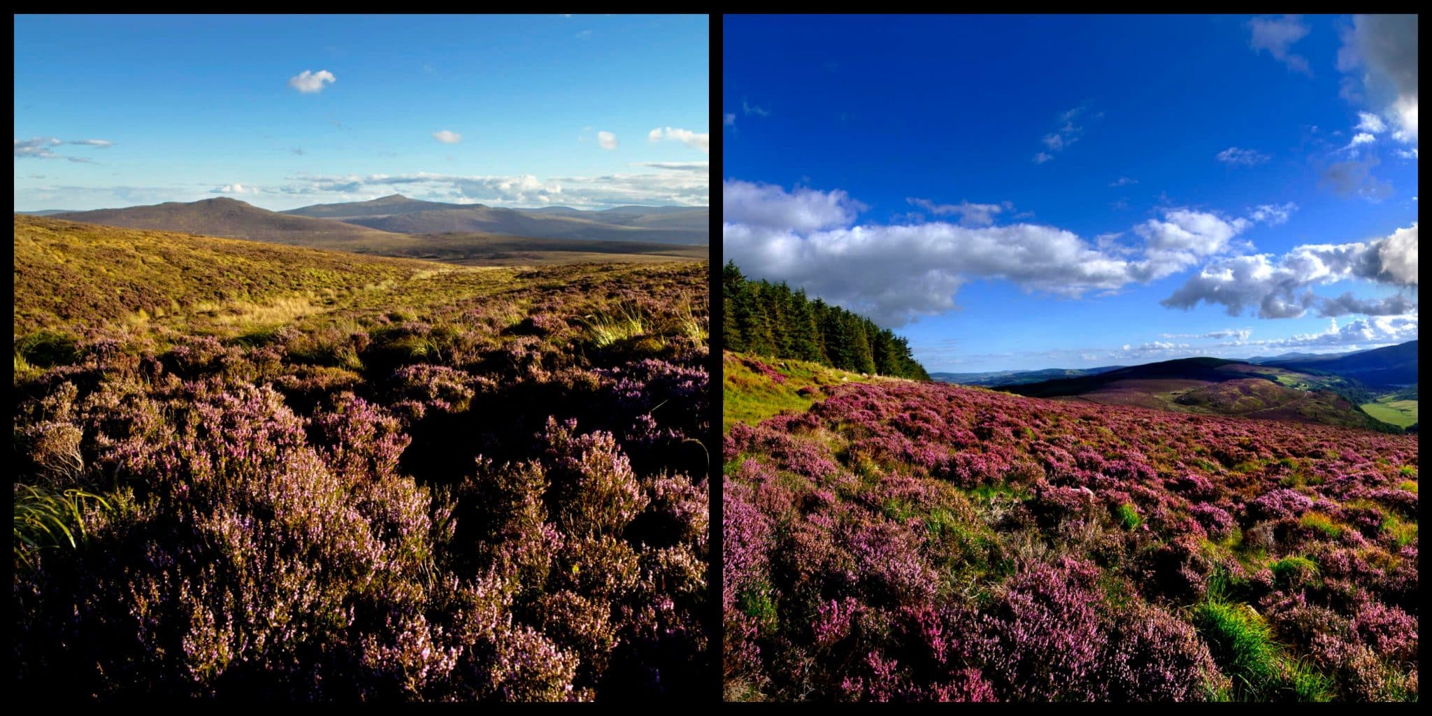 SALLY GAP: when to visit, WHAT TO SEE, and things to know