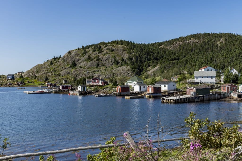 Which CITY IN CANADA has the BIGGEST Irish influence?