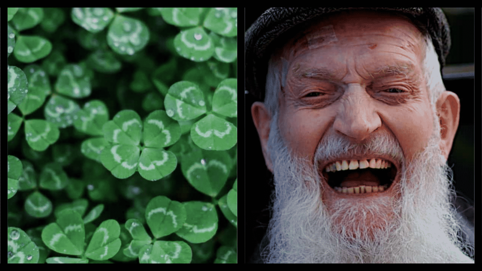 CORK SLANG: How to speak like you're from Cork