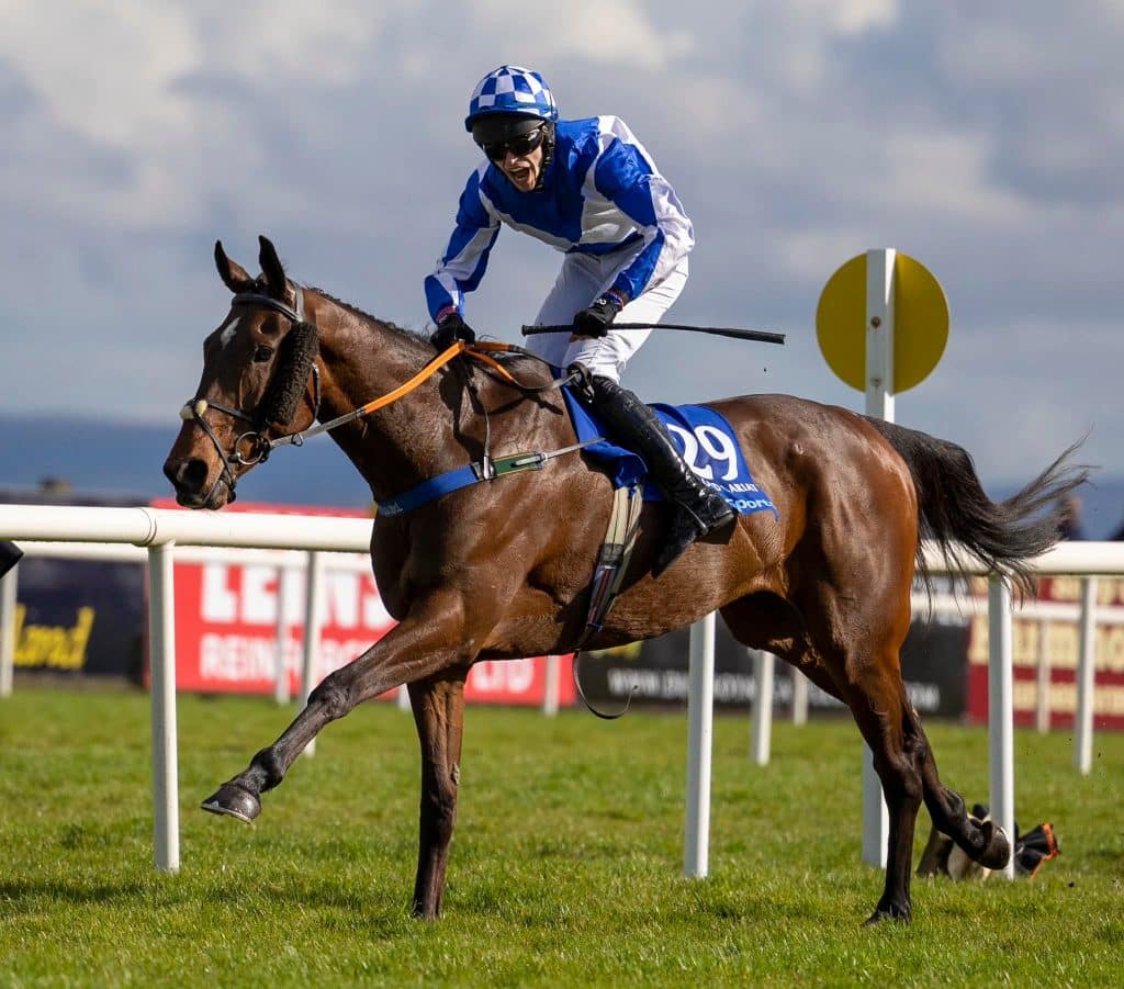 The 10 BIGGEST annual Irish HORSE RACING events