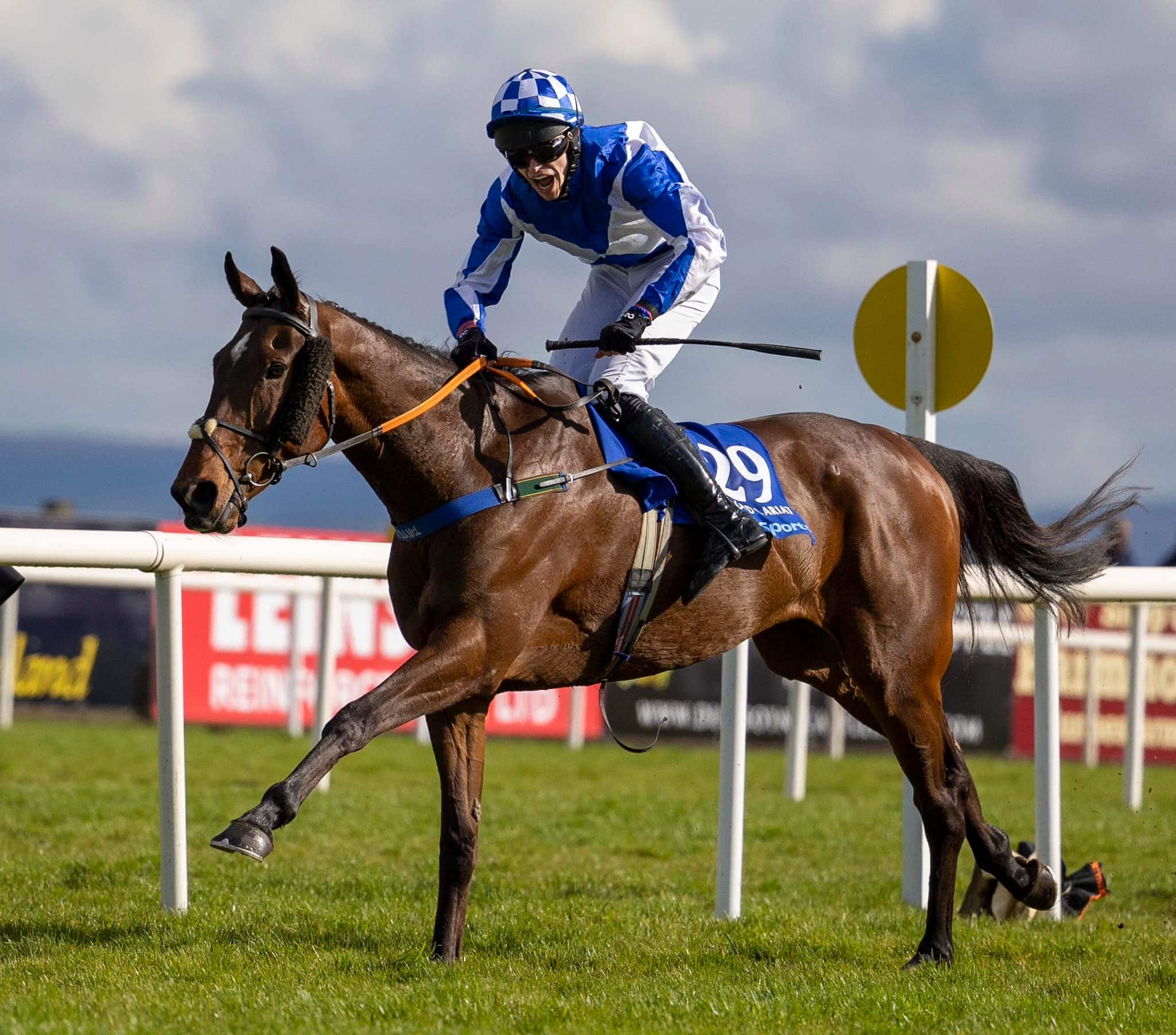 The 10 BIGGEST annual Irish HORSE RACING events